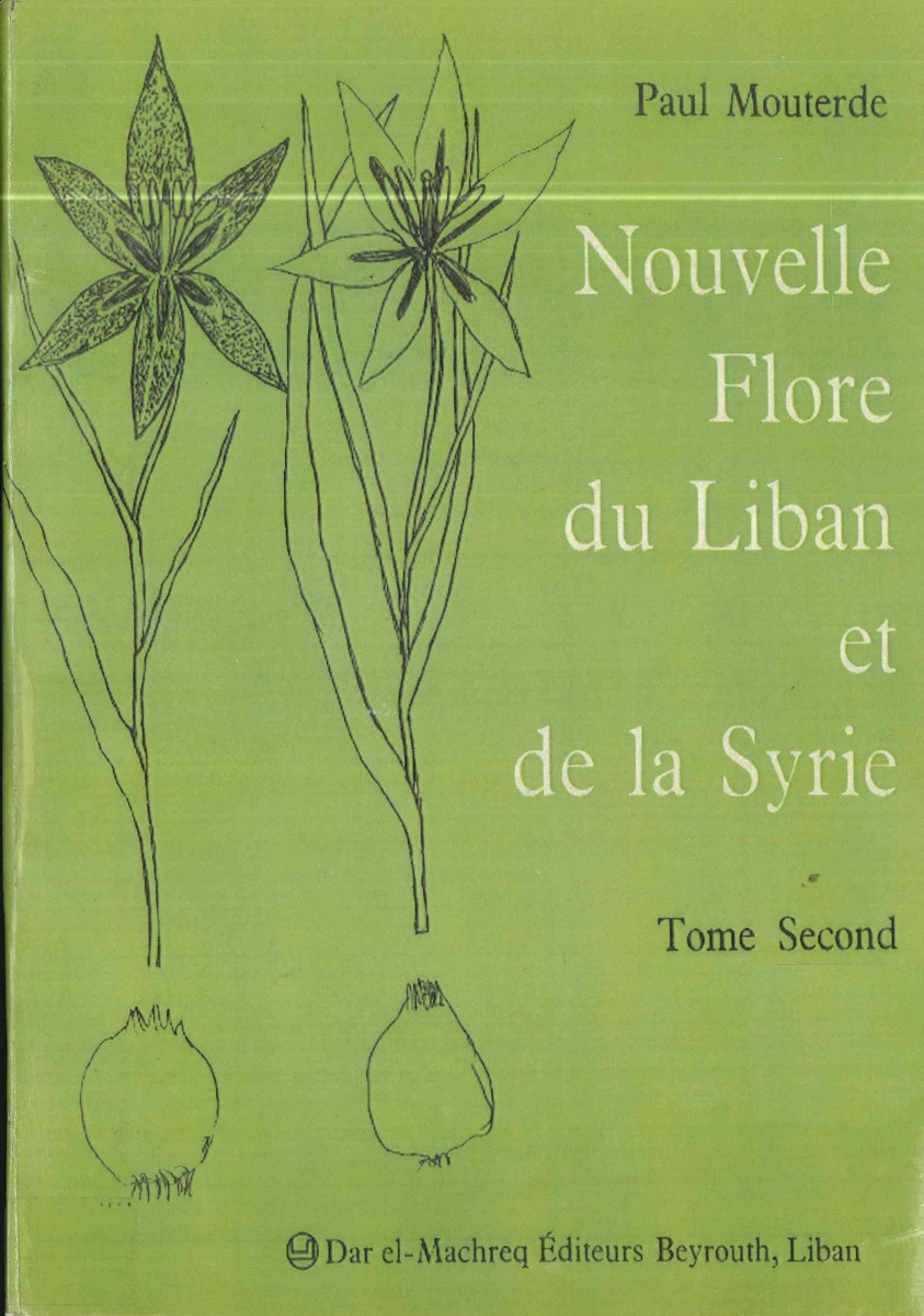 Flora Syria On Line